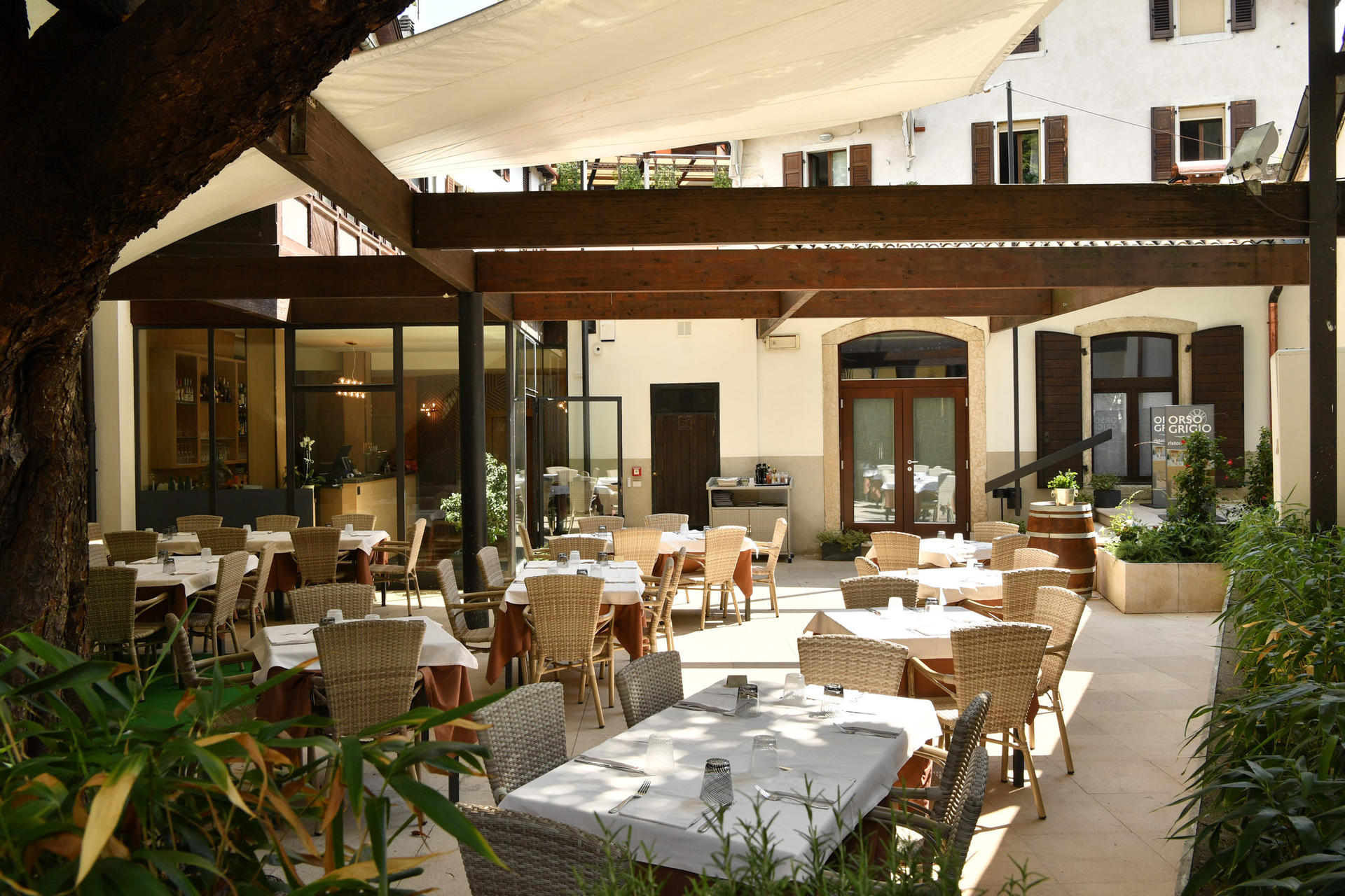 Galleria - Orso Grigio