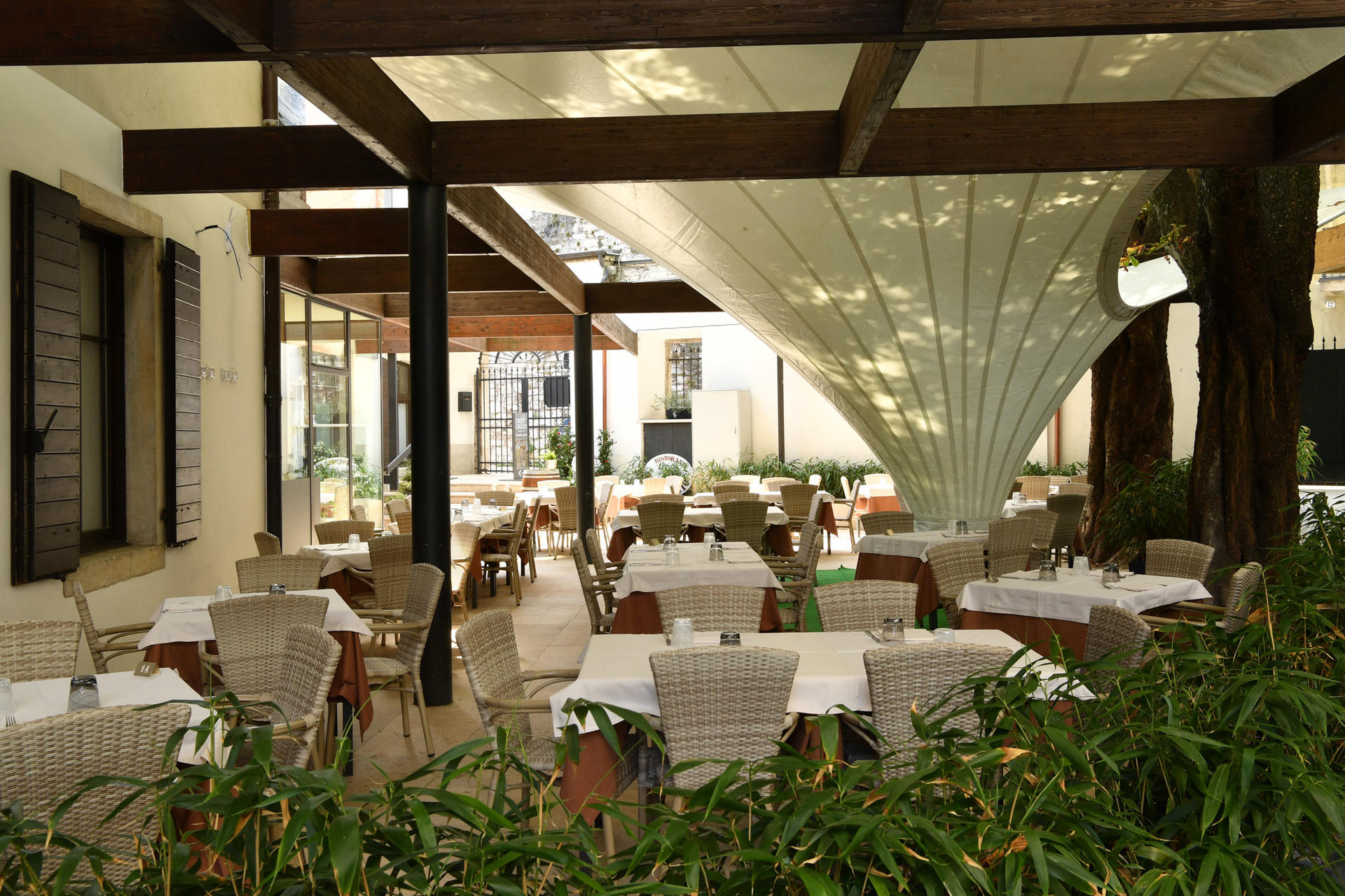 Galleria - Orso Grigio